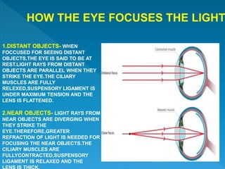 Mechanism of Vision in Human Beings with Diagram | PPTX