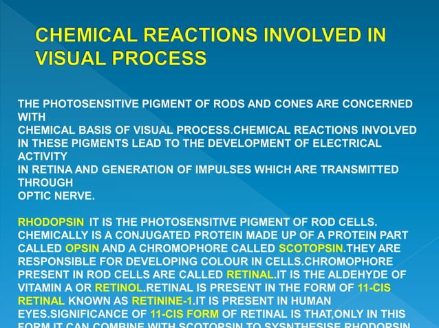 Mechanism of Vision in Human Beings with Diagram | PPTX | Eye and ...
