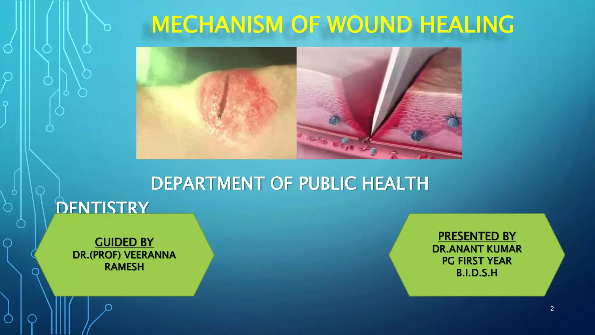 Mechanism of wound healing ppt | PPTX