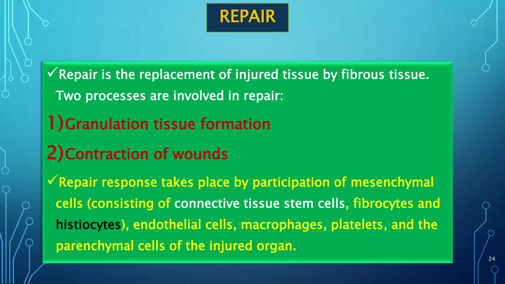 Mechanism of wound healing ppt | PPTX