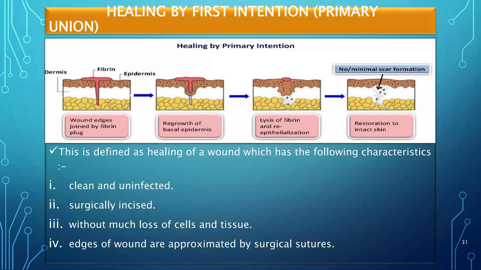 Mechanism of wound healing ppt | PPTX