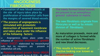 Mechanism of wound healing ppt | PPTX