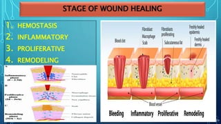 Mechanism of wound healing ppt | PPTX