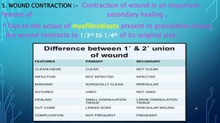 Mechanism of wound healing ppt | PPTX