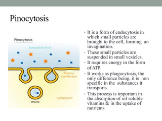 Mechanism rohit mishra | PPT