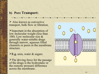 Mechanisms | PPT