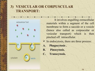 Mechanisms | PPT