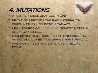 Mechanisms-of-Evolution-General-Biology-2.pptx