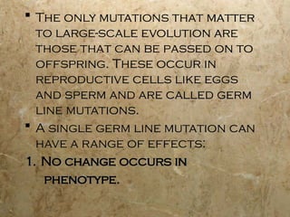 Mechanisms-of-Evolution-General-Biology-2.pptx