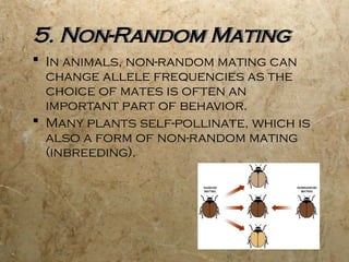 Mechanisms-of-Evolution-General-Biology-2.pptx