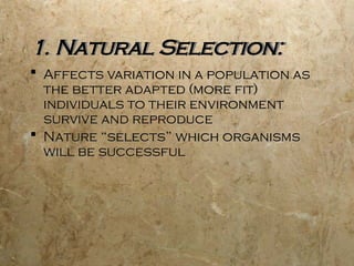 Mechanisms-of-Evolution-General-Biology-2.pptx