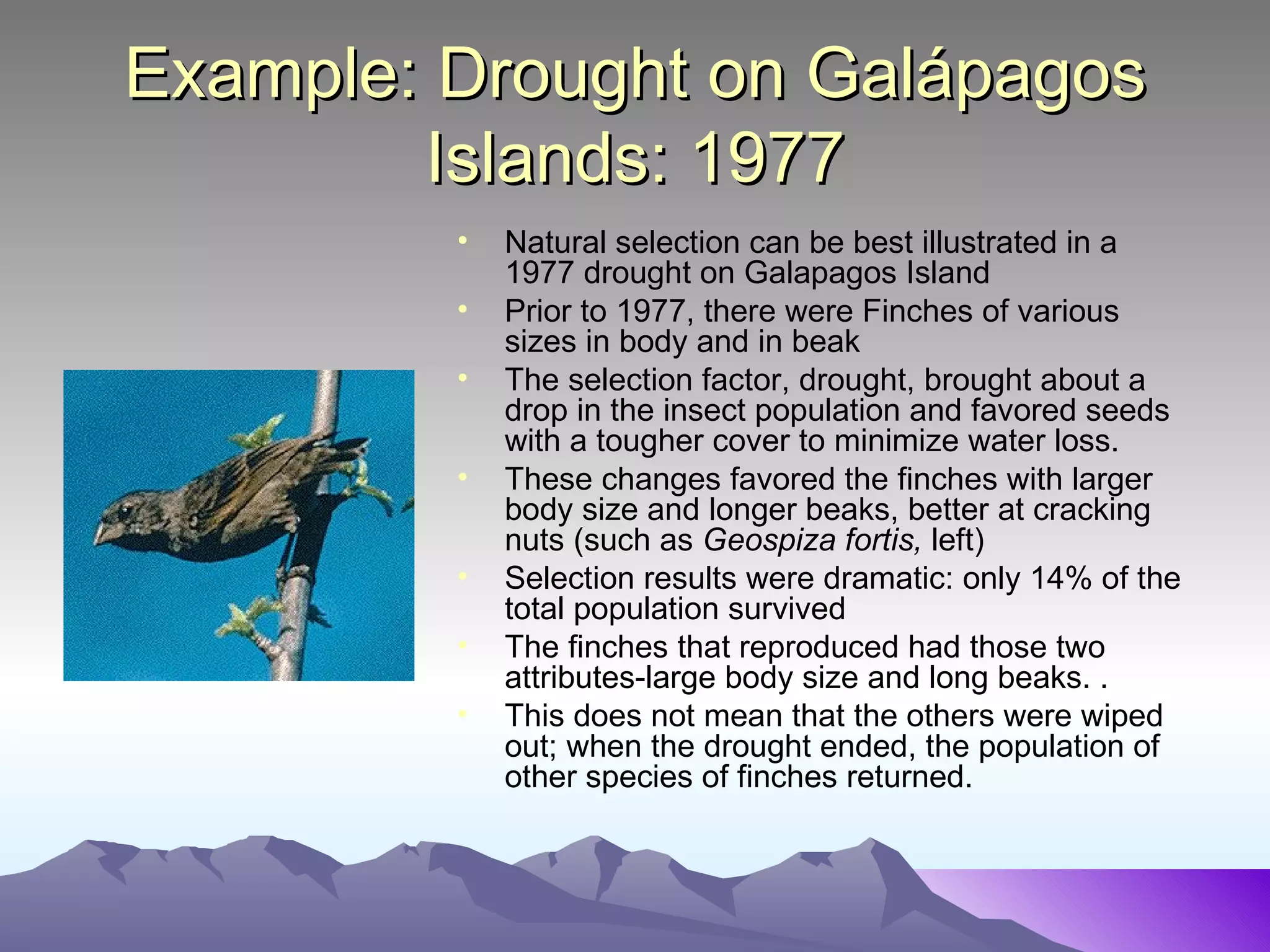 Mechanisms of Evolution: Population Selection and Change | PPT