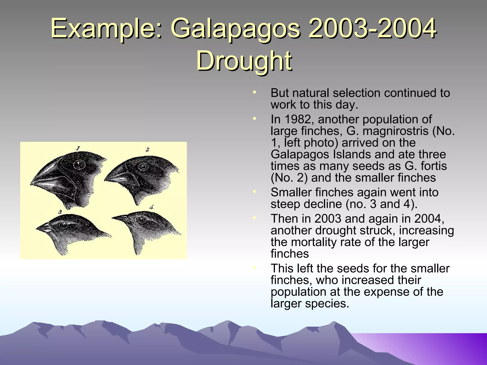 Mechanisms of Evolution: Population Selection and Change | PPT