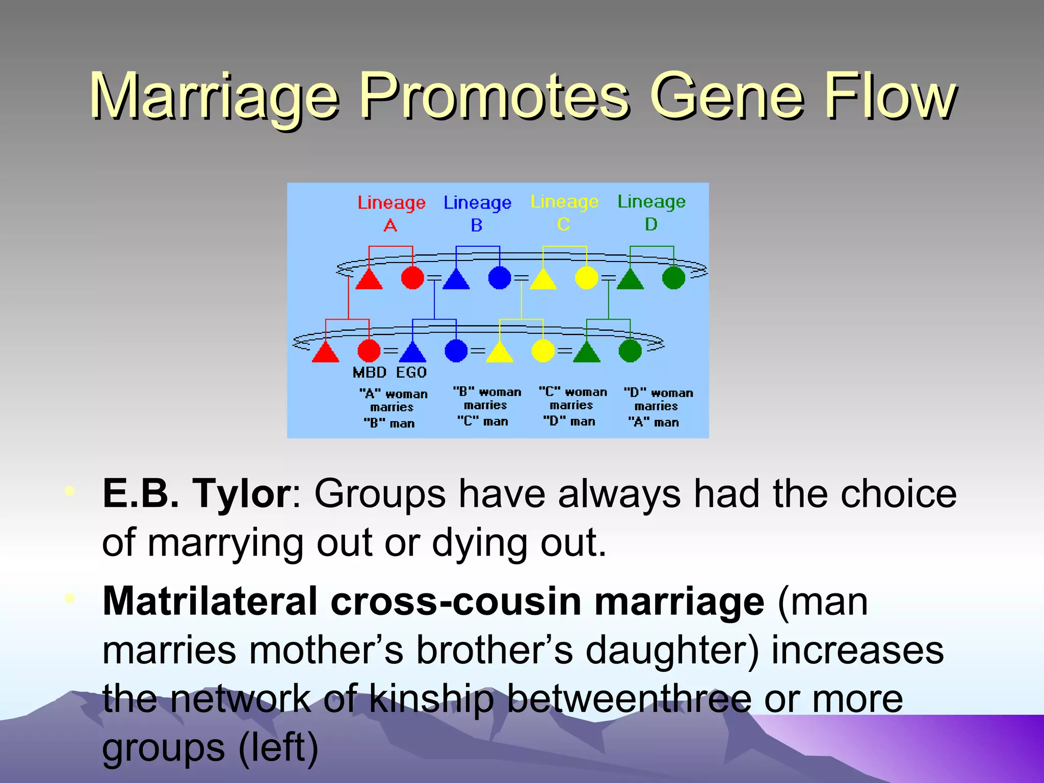 Mechanisms of Evolution: Population Selection and Change | PPT