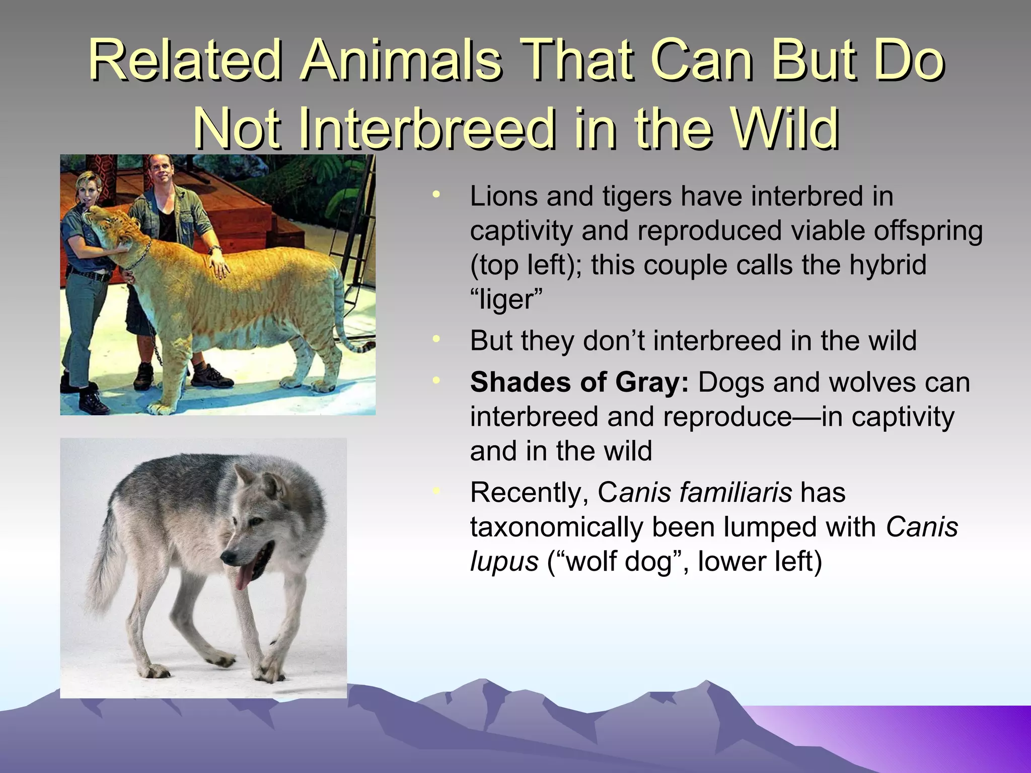 Mechanisms of Evolution: Population Selection and Change | PPT