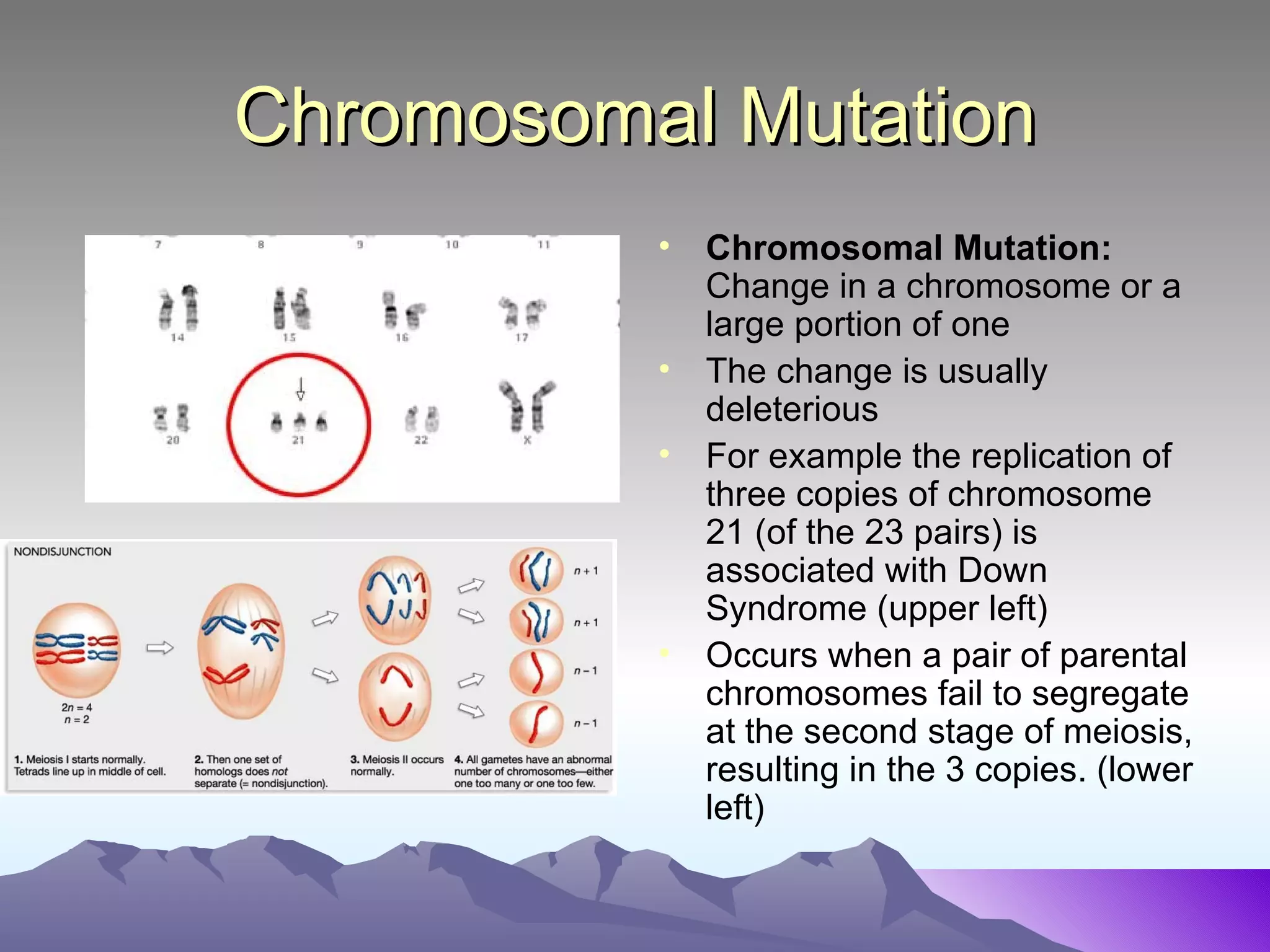 Mechanisms of Evolution: Population Selection and Change | PPT