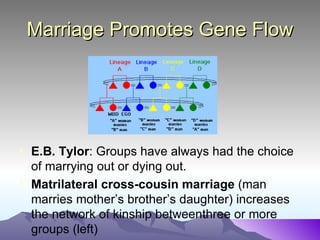 Mechanisms of Evolution: Population Selection and Change | PPT