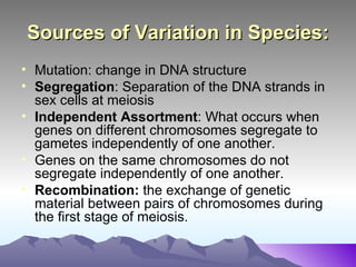 Mechanisms of Evolution: Population Selection and Change | PPT