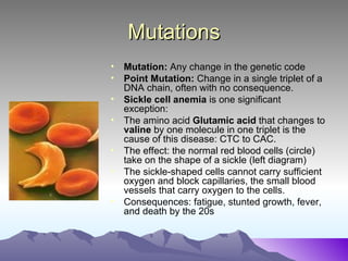 Mechanisms of Evolution: Population Selection and Change | PPT
