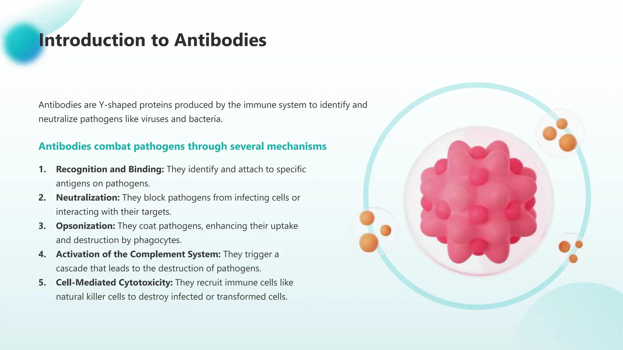 Mechanisms and Applications of Antiviral Neutralizing Antibodies ...