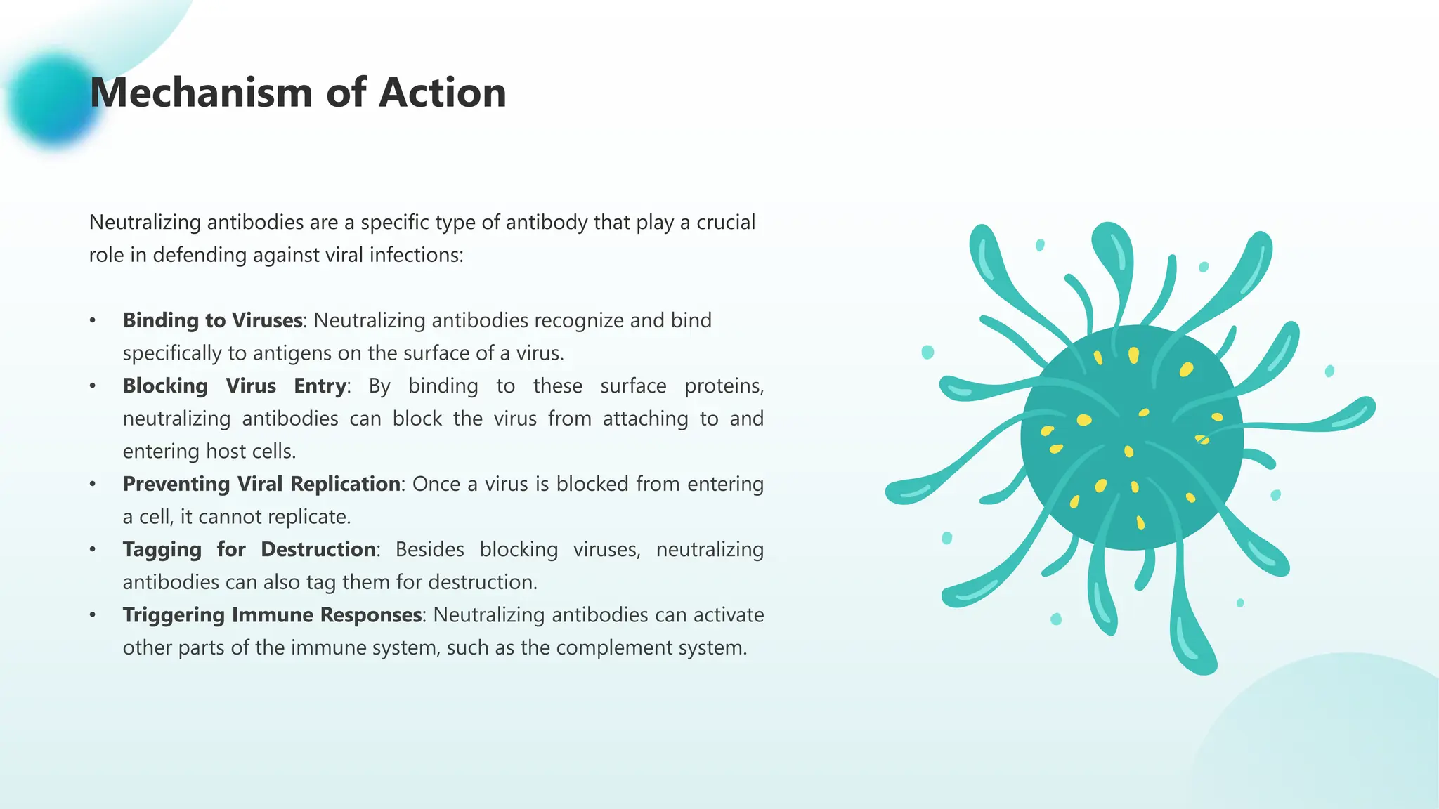 Mechanisms and Applications of Antiviral Neutralizing Antibodies ...