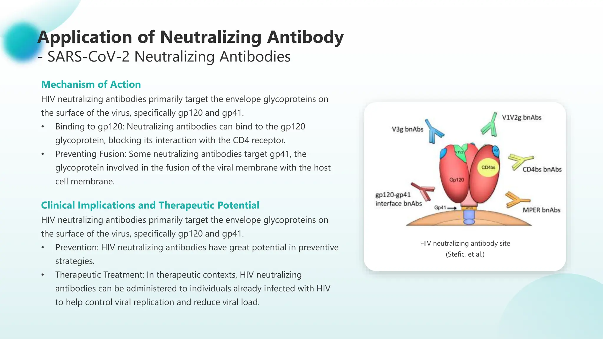 Mechanisms and Applications of Antiviral Neutralizing Antibodies ...