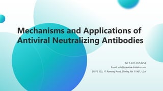 Mechanisms and Applications of Antiviral Neutralizing Antibodies ...