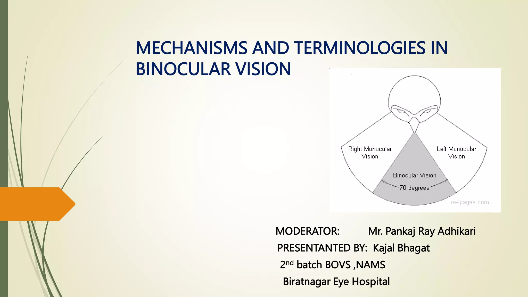 MECHANISMS AND TERMINOLOGIES IN BINOCULAR VISION.pptx