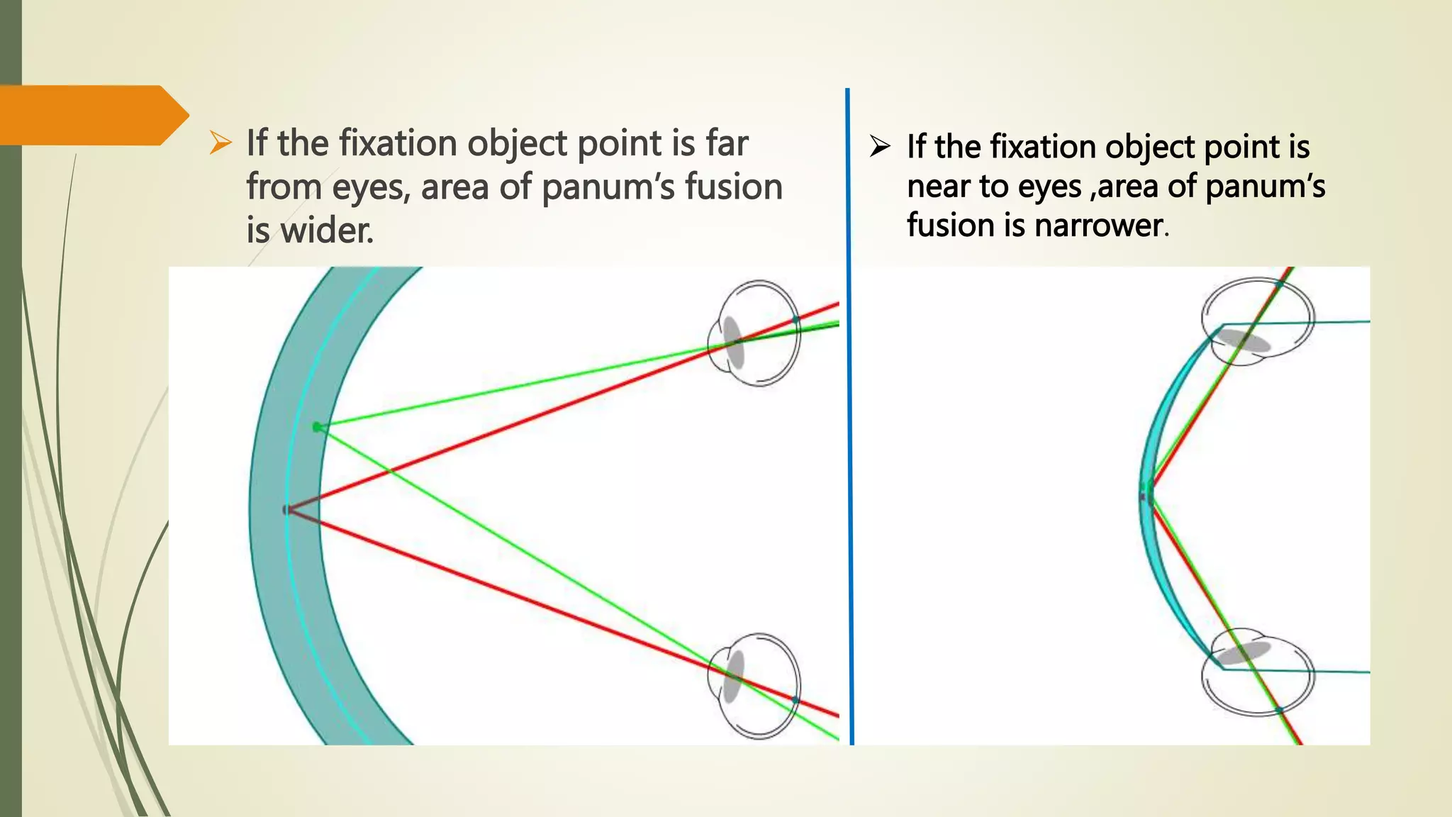 MECHANISMS AND TERMINOLOGIES IN BINOCULAR VISION.pptx