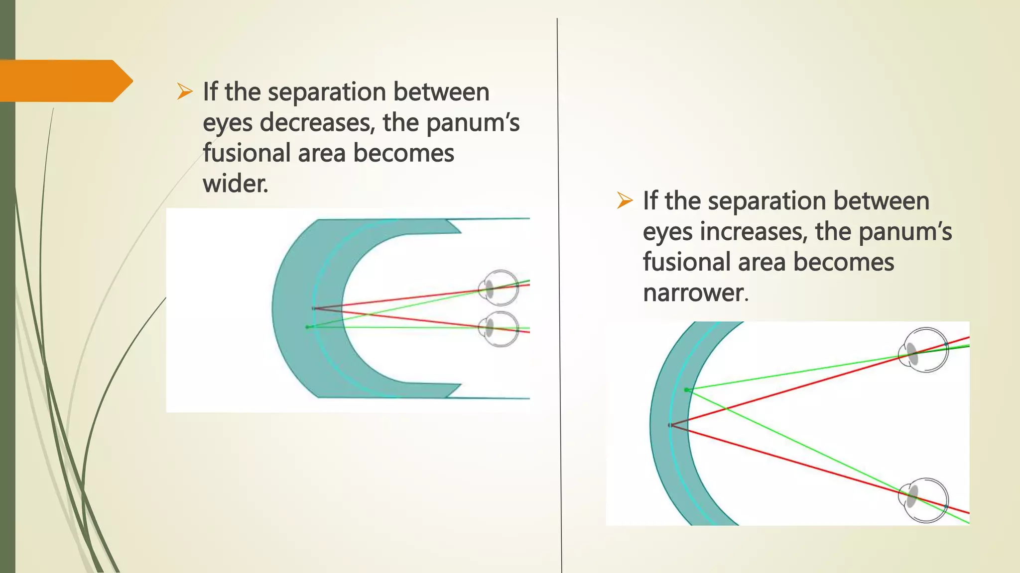 MECHANISMS AND TERMINOLOGIES IN BINOCULAR VISION.pptx