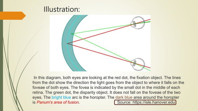 MECHANISMS AND TERMINOLOGIES IN BINOCULAR VISION.pptx | Eye and Vision ...