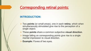 MECHANISMS AND TERMINOLOGIES IN BINOCULAR VISION.pptx | Eye and Vision ...