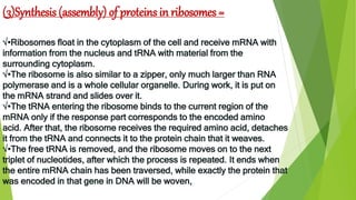 Mechanisms for the implementation of genetic information | PPTX