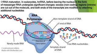 Mechanisms for the implementation of genetic information | PPTX