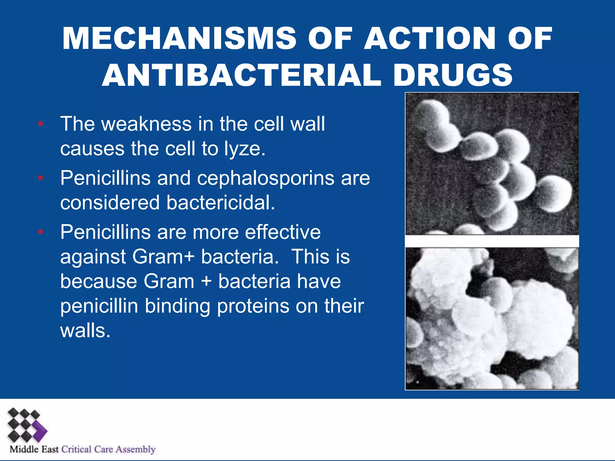 Antibiotic Mechanisms of Action | PPTX