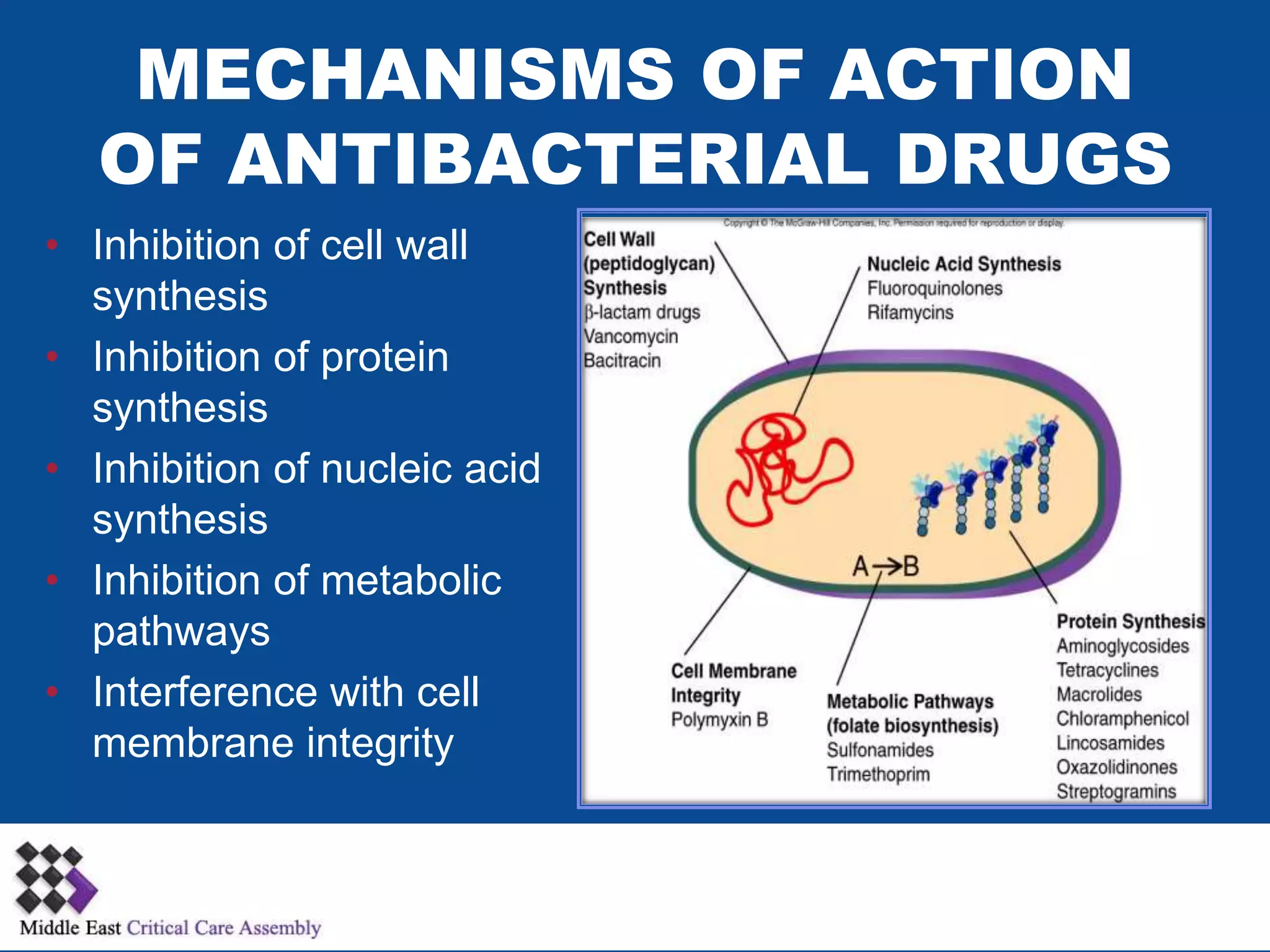 Antibiotic Mechanisms of Action | PPTX