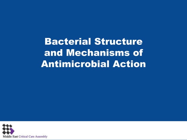 Antibiotic Mechanisms of Action | PPTX