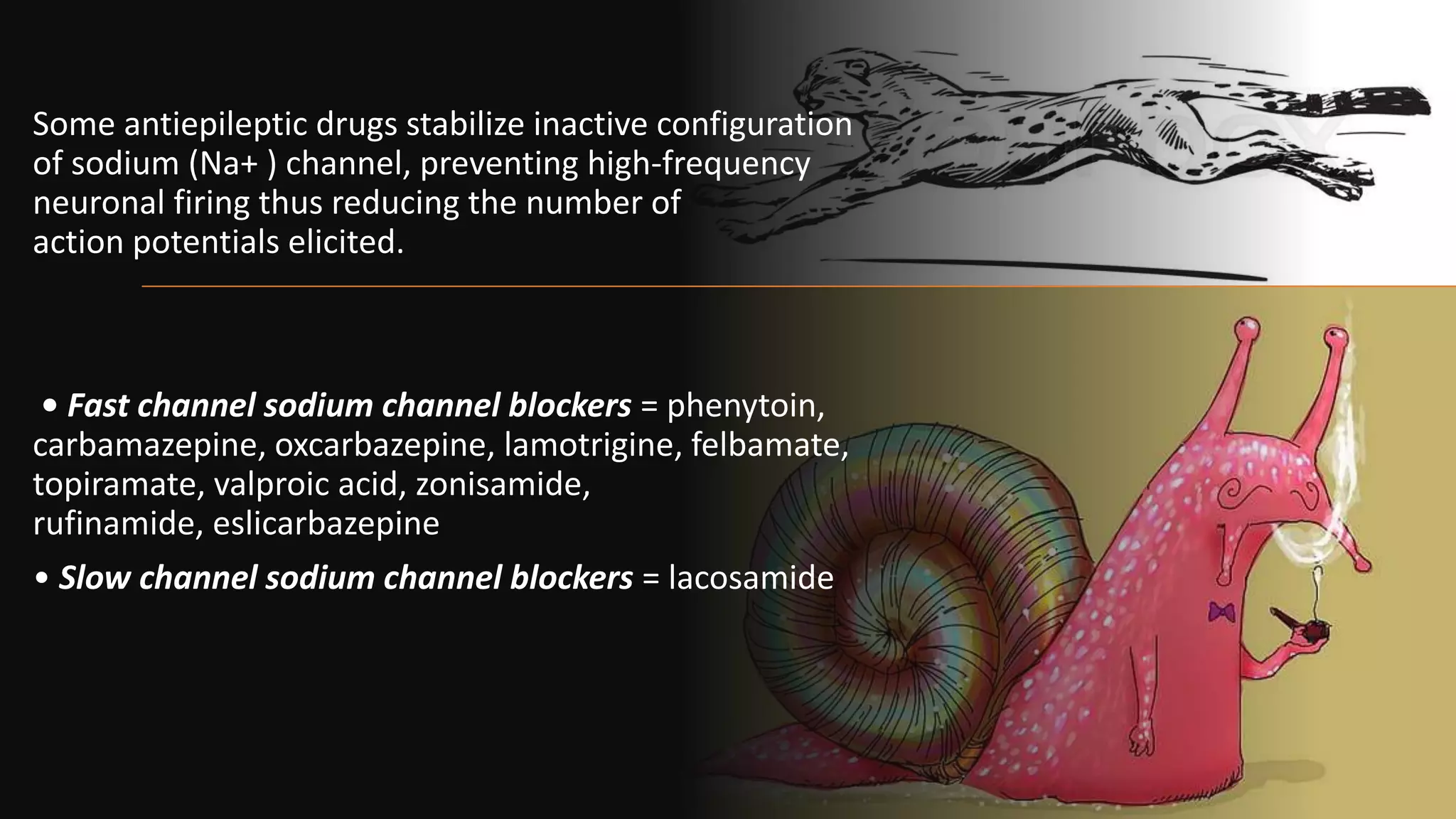 Mechanisms of action and use of blockers of sodium channels | PPTX