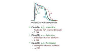 Mechanisms of action and use of blockers of sodium channels | PPTX