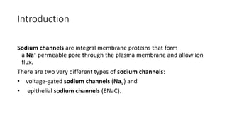 Mechanisms of action and use of blockers of sodium channels | PPTX