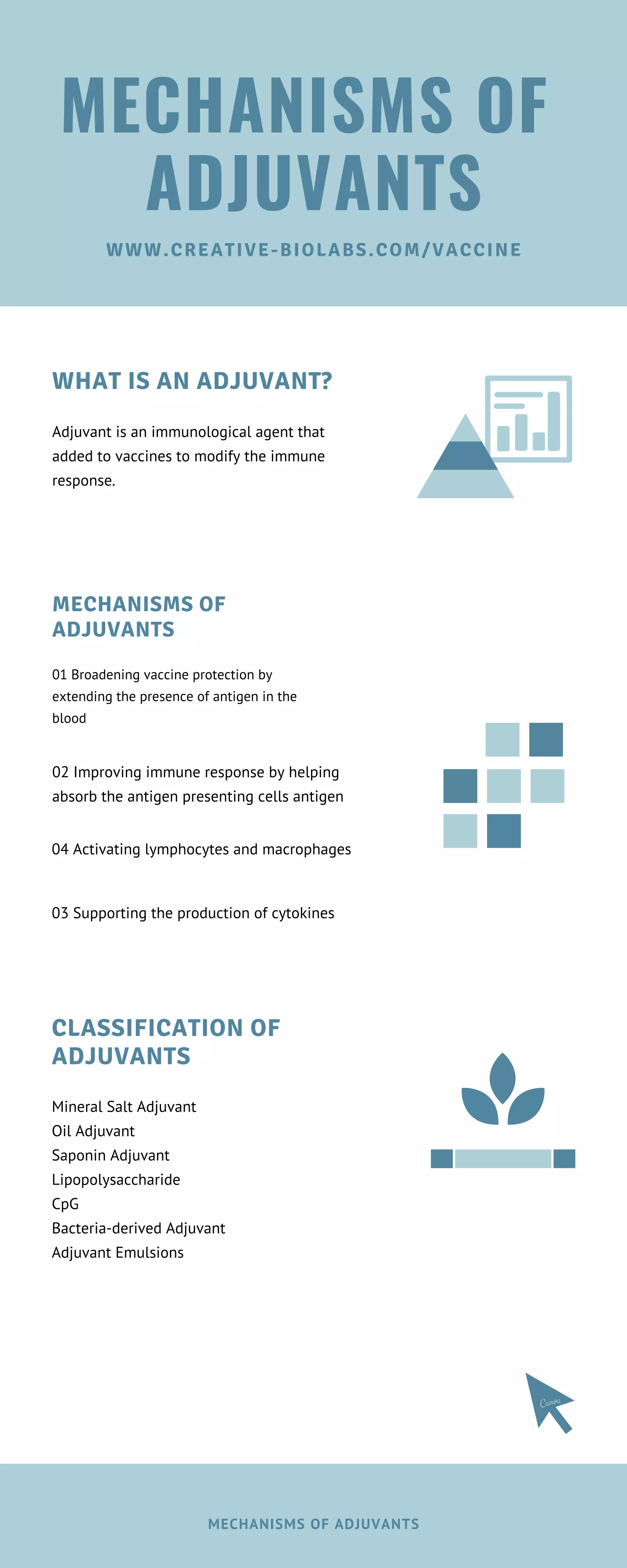 Mechanisms of adjuvants | PDF