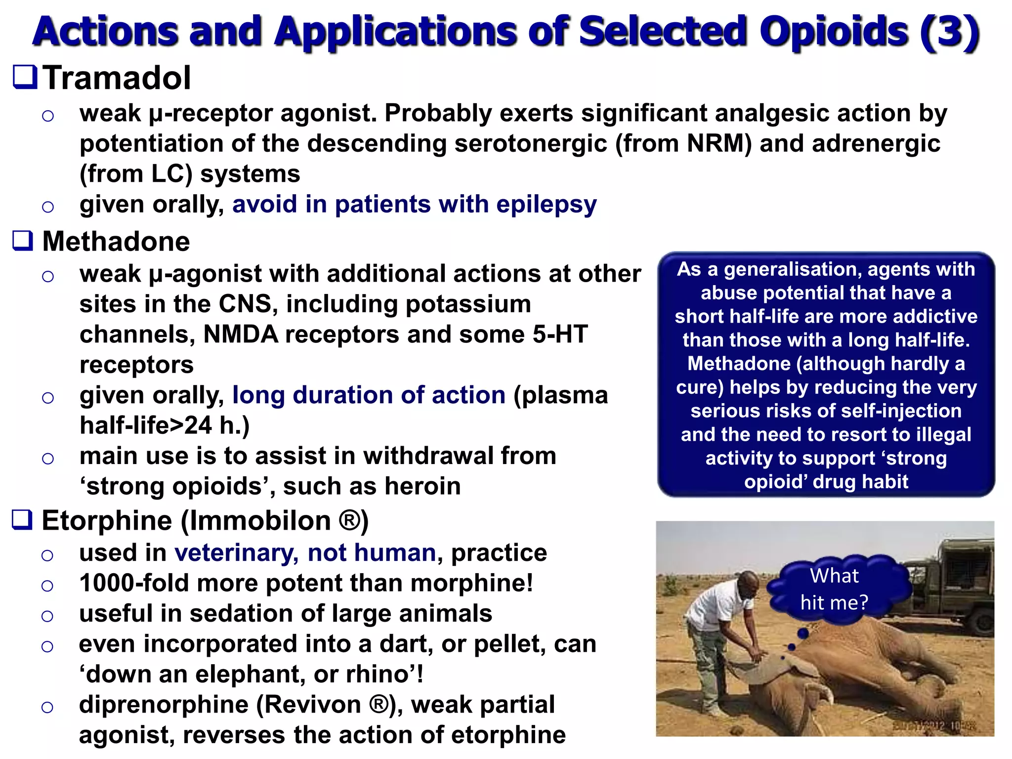 Mechanisms of analgesia 2017 18 jap | PPTX