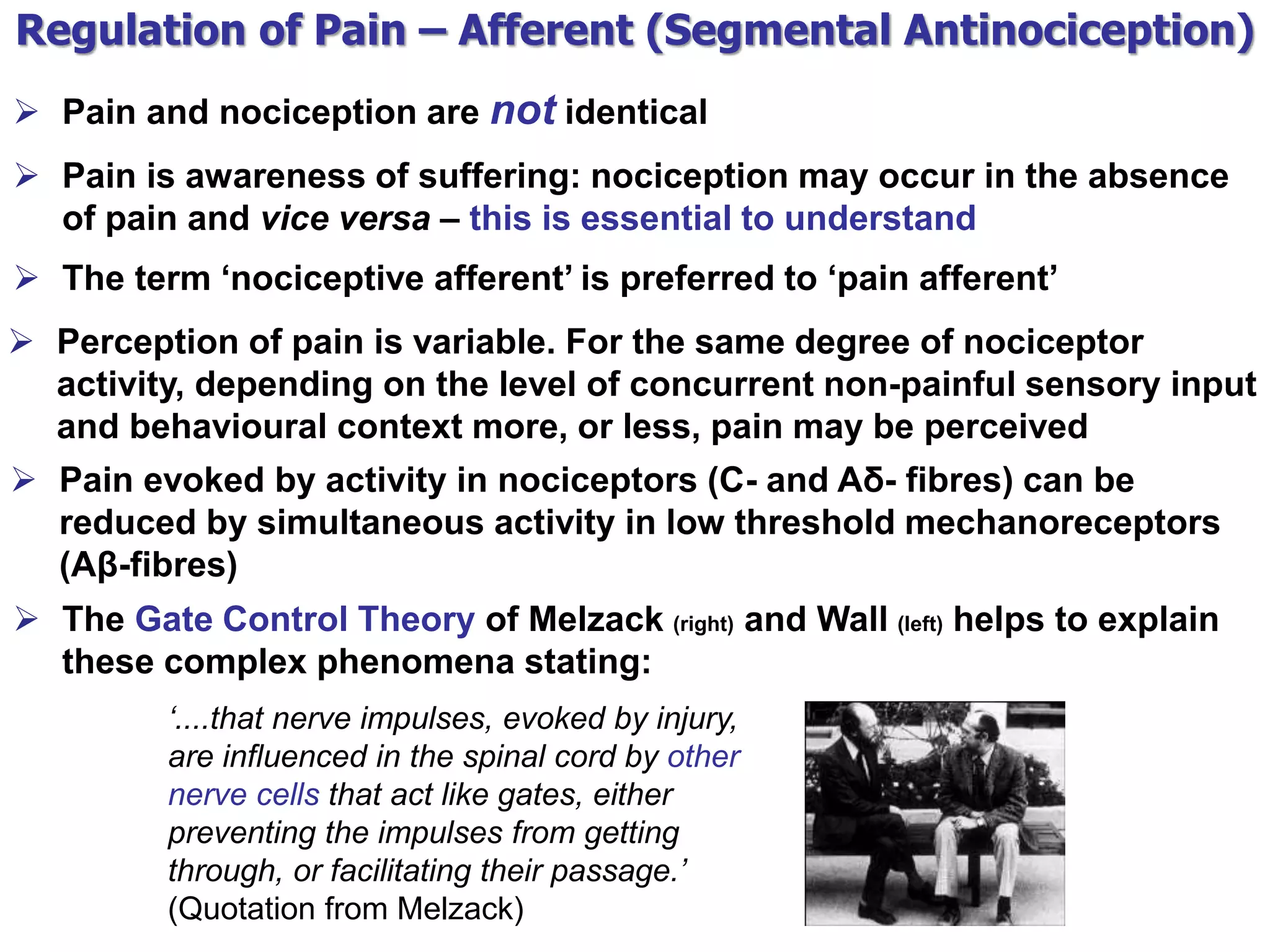 Mechanisms of analgesia 2017 18 jap | PPTX