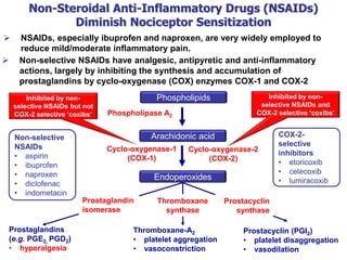 Mechanisms of analgesia 2017 18 jap | PPTX