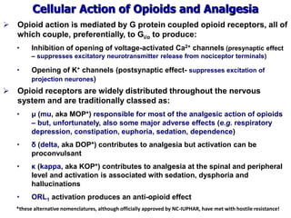 Mechanisms of analgesia 2017 18 jap | PPTX