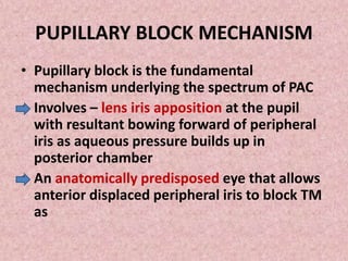 Mechanisms of angle closure glaucoma | PPTX
