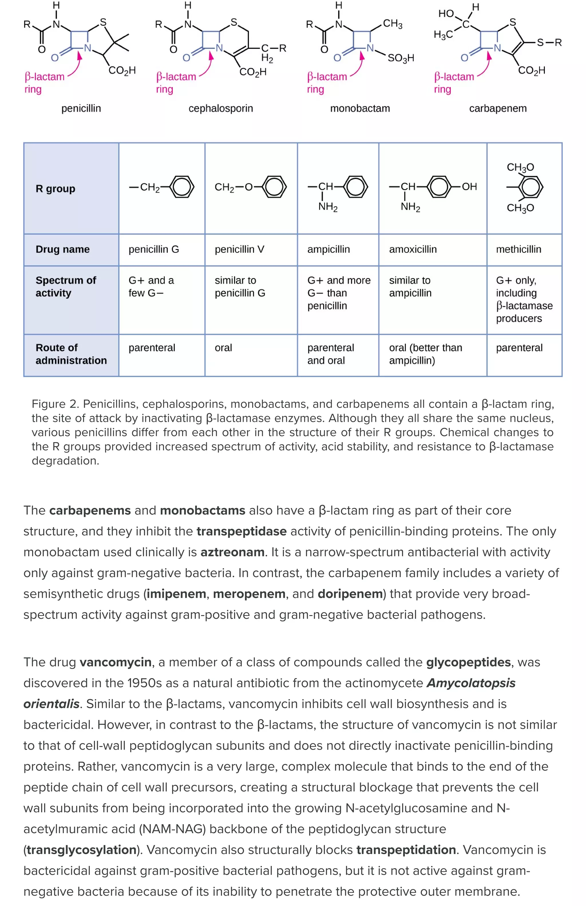 Mechanisms of Antibacterial Drugs _ Microbiology.pdf