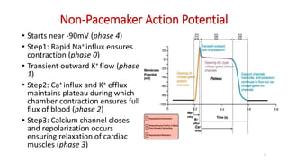 Mechanisms of Arrhythmia PPT Sourav Pal.pptx