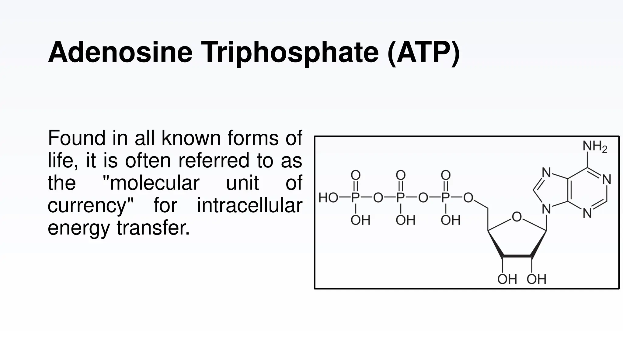 General Biology: Mechanisms of ATP Generation | PPTX