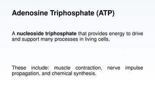 General Biology: Mechanisms of ATP Generation | PPTX